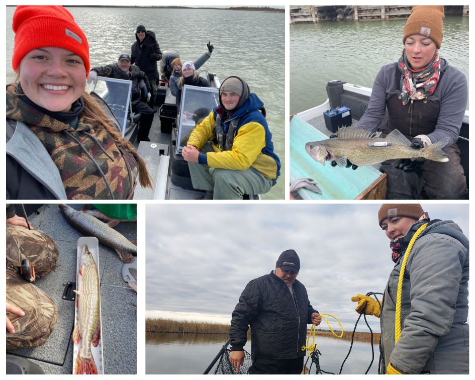 Protecting what Matters: Fish Telemetry Tagging with the Manitoba Métis ...