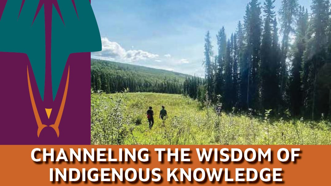 Maximizing the Impact of First Nation and Métis Knowledge in Impact ...