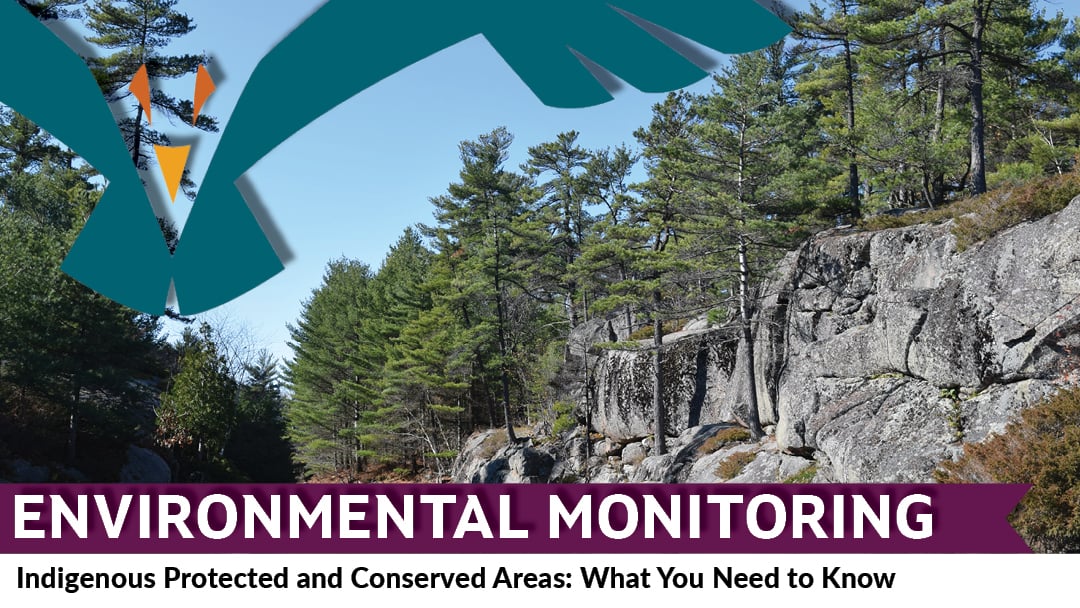 Indigenous Protected and Conserved Areas: What You Need to Know