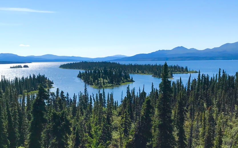 How to Structure an Effective Lands and Consultation Department