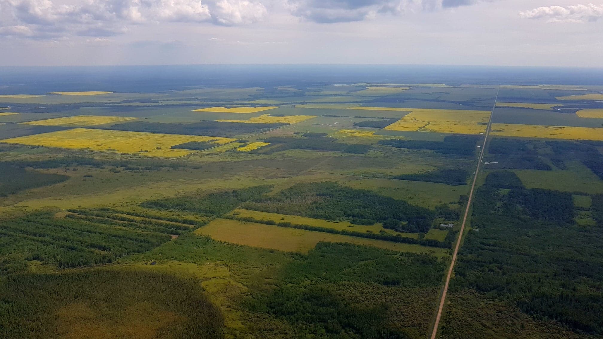 Along the Line: Why Linear Corridors Need Environmental Monitoring