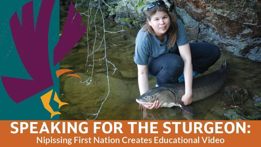 Speaking for the Sturgeon: Nipissing First Nation Creates Educational Video