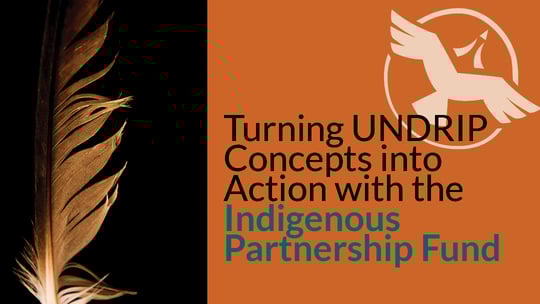 Turning UNDRIP Concepts into Action with the Indigenous Partnership Fund