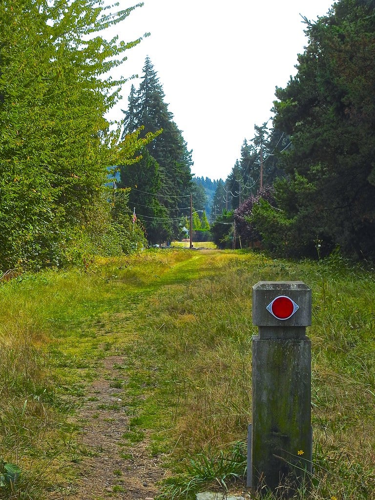 Along the Line: Why Linear Corridors Need Environmental Monitoring